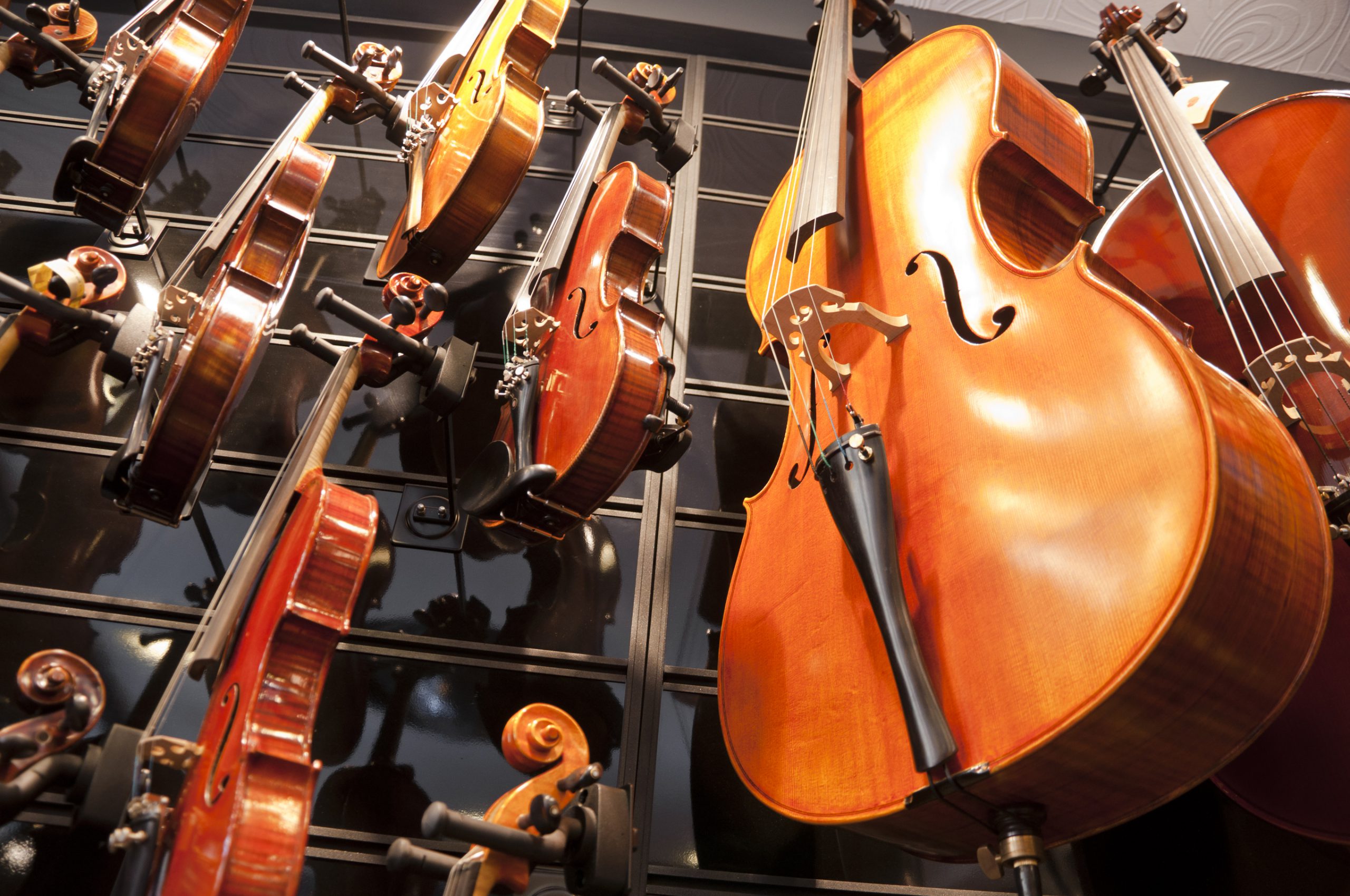 Fretwell's Bass Shop: An All-American Institution - Senior Correspondent